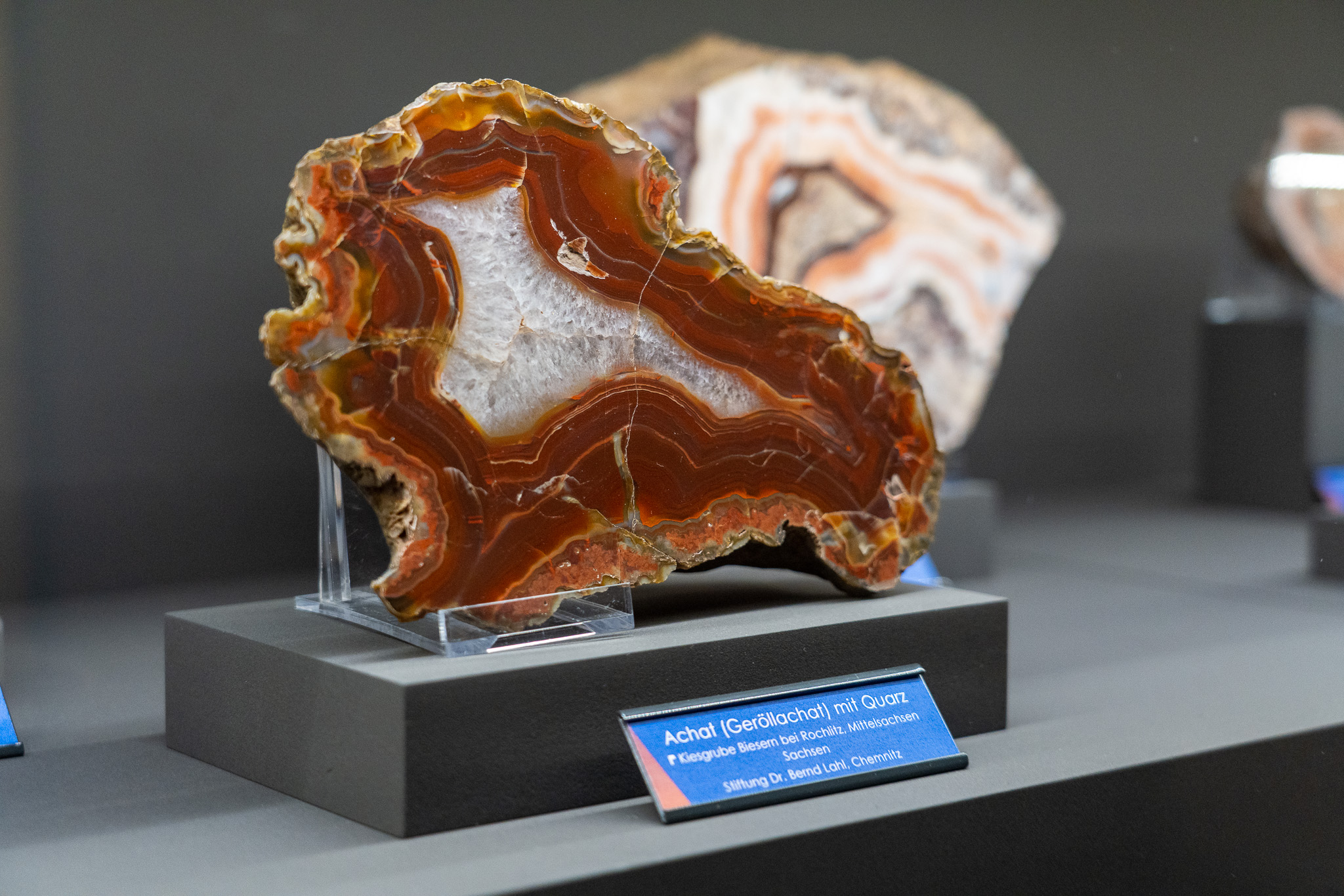 BHT – Freiberger Universitätsforum 2023